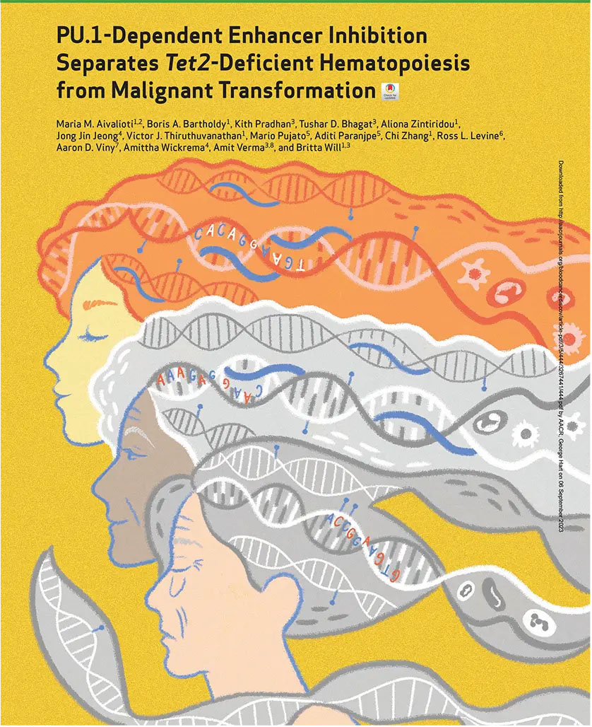 ARTicle Full View | Blood Cancer Discovery | American Association for ...