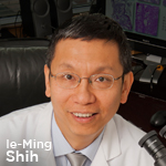 Translational Cancer Biology | Cancer Research | American Association ...