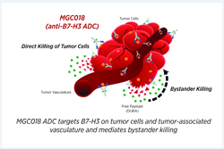 First Disclosures | Molecular Cancer Therapeutics | American ...