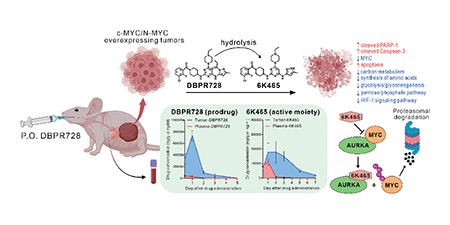 First Disclosures | Molecular Cancer Therapeutics | American ...