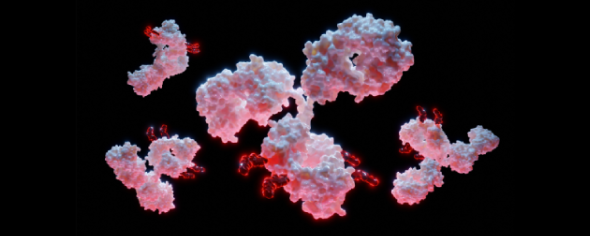 GSK’s ADC Continues Redemption Tour | Cancer Discovery News | American Association for Cancer ...