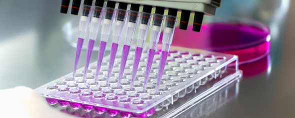 The Prodrug Gliocidin Mimics Nicotinamide and Targets Glioblastoma ...