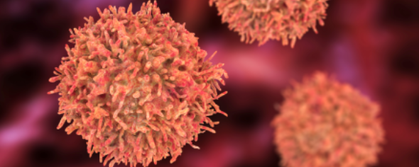 Turning B Cells into Cancer Drug Factories | Cancer Discovery News ...