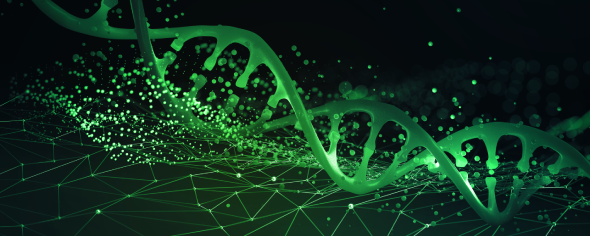 Engineered Focal Oncogene Amplifications Drive Transformation and ...