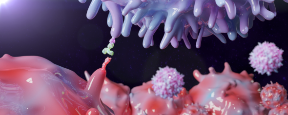 AbbVie Inks Deal for T-Cell Engager | Cancer Discovery News | American ...
