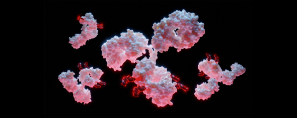T-DXd Approved for Another Indication | Cancer Discovery News ...