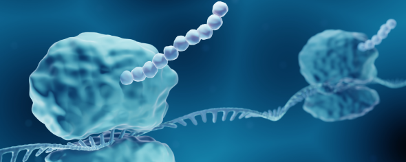 Disruption of the SKI Complex Confers Dependency on PELO in Cancer ...