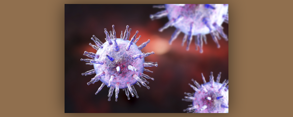 Fragmentomics of Epstein-Barr Virus DNA in Plasma Predicts Cancer Risk ...