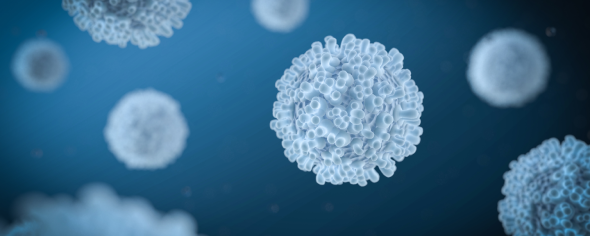 iNKT Therapy Shows Potent Activity against Testicular Cancer | Cancer ...