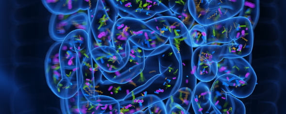 Exercise Remodels the Microbiome to Boost Antitumor Immunity | Cancer ...