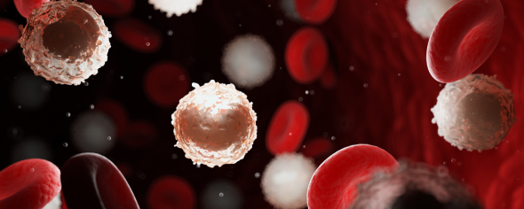 Inherited Mutations Shape Somatic Evolution and Cancer Risk | Cancer ...