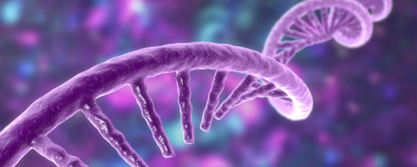 RNA Pol II Inhibition Induces Death Independent of Transcription Loss ...