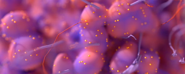 The Mechanical Microenvironment Drives Plasticity in Melanoma | Cancer ...