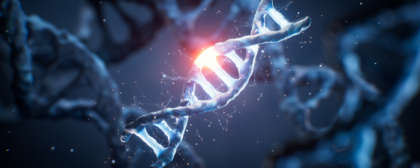 Clone Copy Number Diversity Correlates with Lung Cancer Prognosis ...