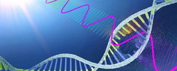 Preoperative Radiation Improves T-cell Infiltration | Cancer Discovery ...