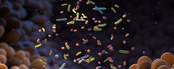 Bacterial Elements Detected in Brain Tumors May Shape Tumor ...