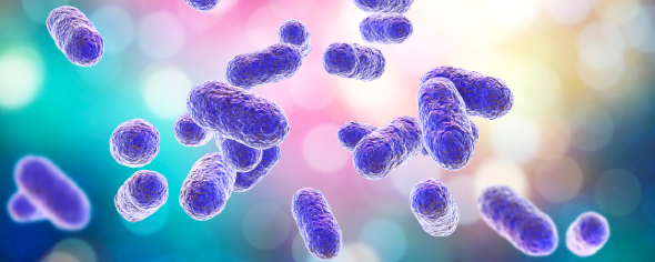 Gut Commensal Bacteria Restrains Tumor Growth through Antigen Mimicry ...