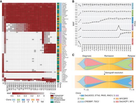Mutational Landscape and Patterns of Clonal Evolution in Relapsed ...