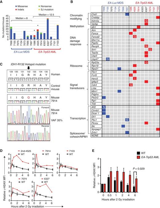 Cytotoxic Therapy–Induced Effects on Both Hematopoietic and Marrow ...