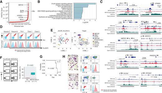 Targeting MEF2D-fusion Oncogenic Transcriptional Circuitries in B-cell ...