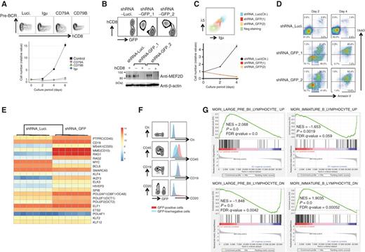 Targeting MEF2D-fusion Oncogenic Transcriptional Circuitries in B-cell ...