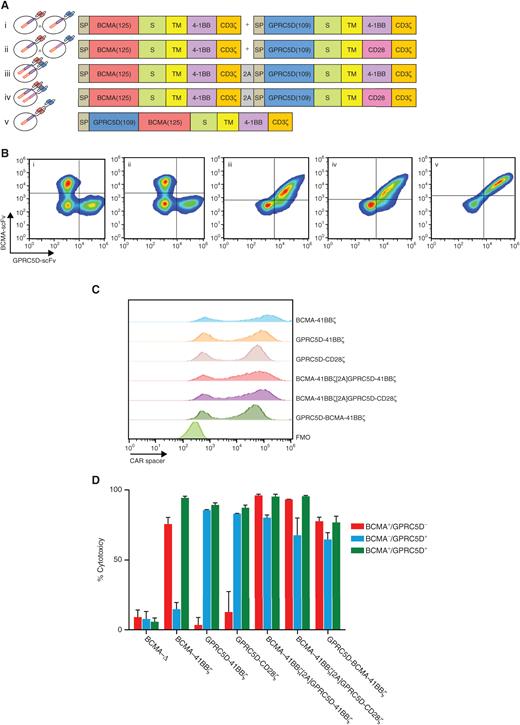Defining an Optimal Dual-Targeted CAR T-cell Therapy Approach ...