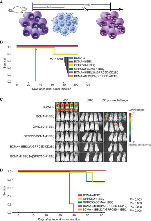 Defining an Optimal Dual-Targeted CAR T-cell Therapy Approach Simultaneously Targeting BCMA and ...