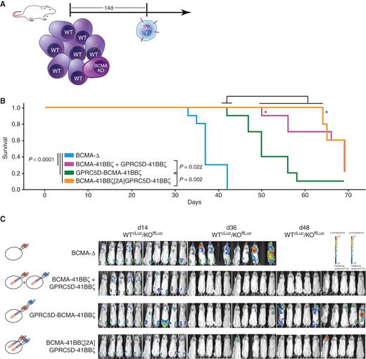 Defining an Optimal Dual-Targeted CAR T-cell Therapy Approach ...