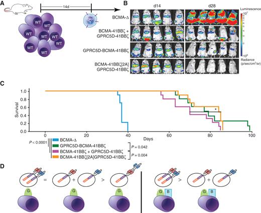 Defining an Optimal Dual-Targeted CAR T-cell Therapy Approach Simultaneously Targeting BCMA and ...