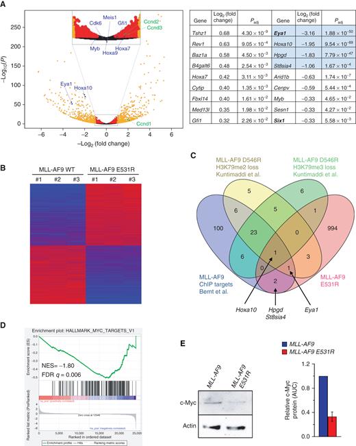 BCOR Binding to MLL-AF9 Is Essential for Leukemia via Altered EYA1, SIX ...
