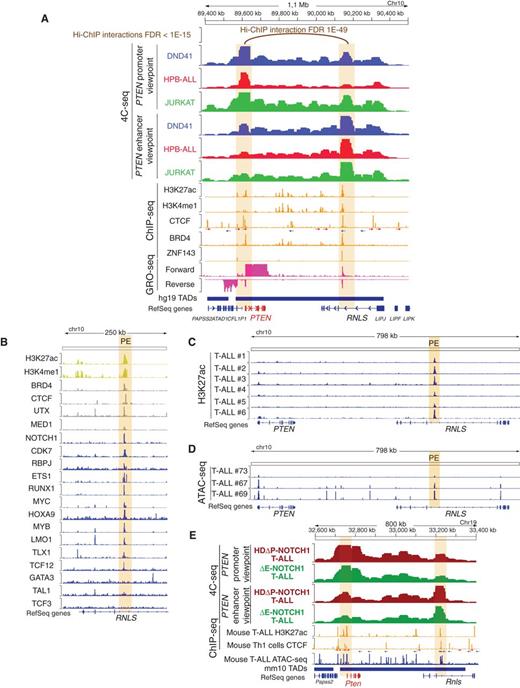 A Tumor Suppressor Enhancer of PTEN in T-cell Development and Leukemia ...
