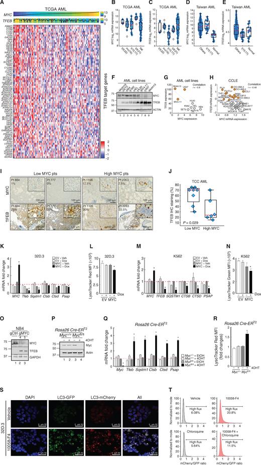 TFEB Links MYC Signaling to Epigenetic Control of Myeloid ...