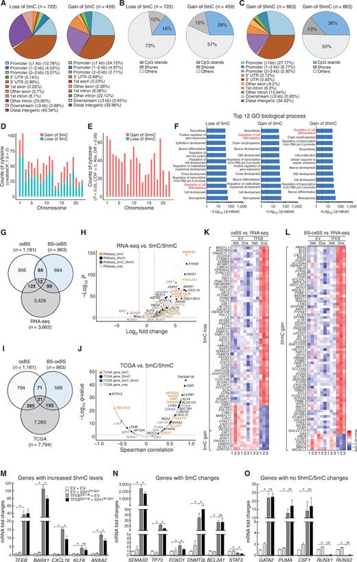 TFEB Links MYC Signaling to Epigenetic Control of Myeloid ...