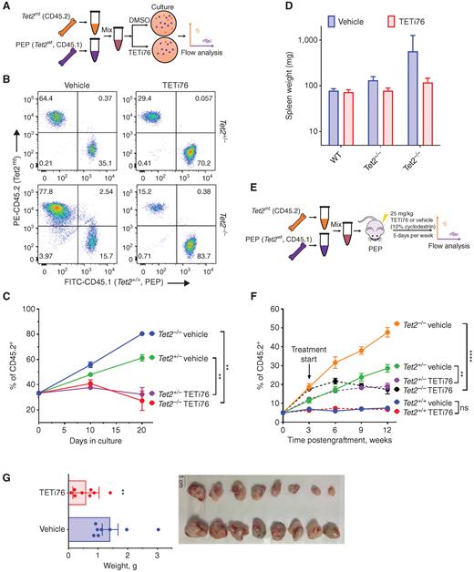 A Therapeutic Strategy for Preferential Targeting of TET2-Mutant and ...
