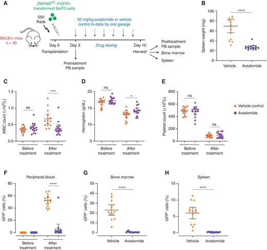 Avadomide Induces Degradation of ZMYM2 Fusion Oncoproteins in ...