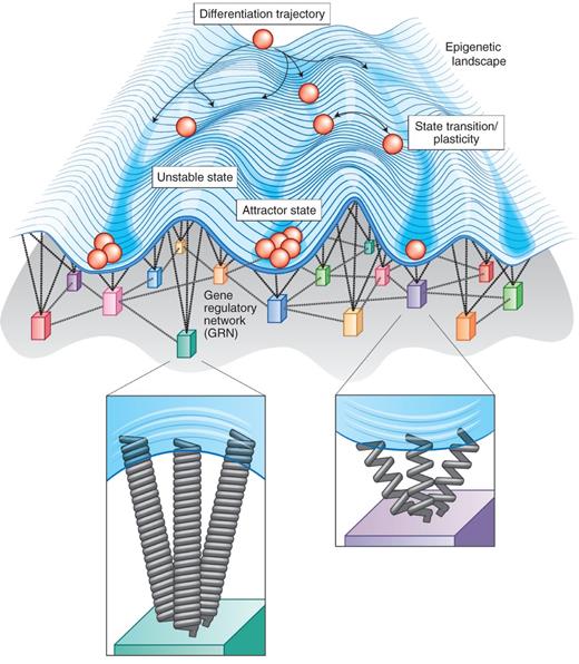 An Evolutionary Approach to Clonally Complex Hematologic Disorders ...