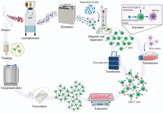 Scalable Manufacturing of CAR T Cells for Cancer Immunotherapy | Blood ...