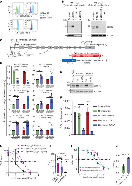 Modulation of CD22 Protein Expression in Childhood Leukemia by ...