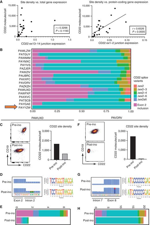 Modulation of CD22 Protein Expression in Childhood Leukemia by ...