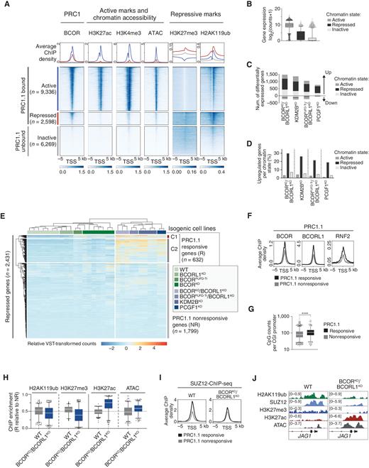 BCOR and BCORL1 Mutations Drive Epigenetic Reprogramming and Oncogenic ...
