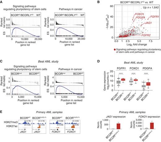 BCOR and BCORL1 Mutations Drive Epigenetic Reprogramming and Oncogenic ...