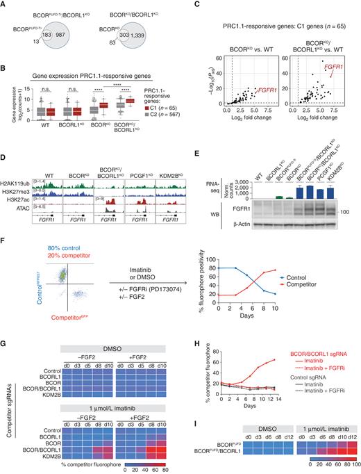 BCOR and BCORL1 Mutations Drive Epigenetic Reprogramming and Oncogenic ...