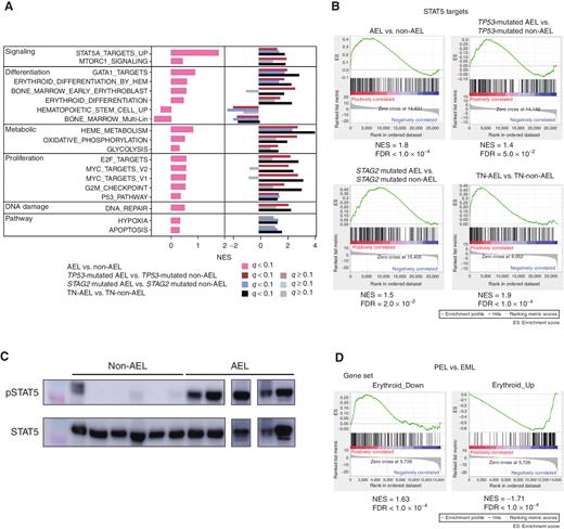 Amplified EPOR/JAK2 Genes Define a Unique Subtype of Acute Erythroid ...
