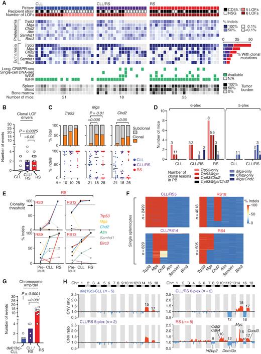 In Vivo Modeling of CLL Transformation to Richter Syndrome Reveals ...