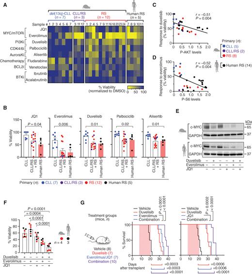 In Vivo Modeling of CLL Transformation to Richter Syndrome Reveals ...