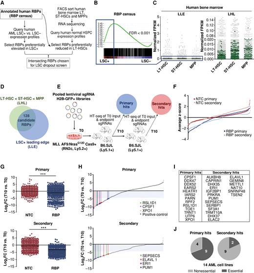 In Vivo Screening Unveils Pervasive RNA-Binding Protein Dependencies in ...