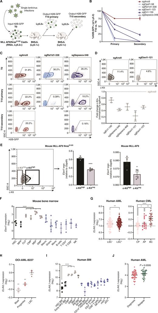 In Vivo Screening Unveils Pervasive RNA-Binding Protein Dependencies in ...