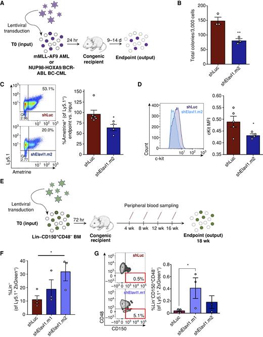 In Vivo Screening Unveils Pervasive RNA-Binding Protein Dependencies in ...