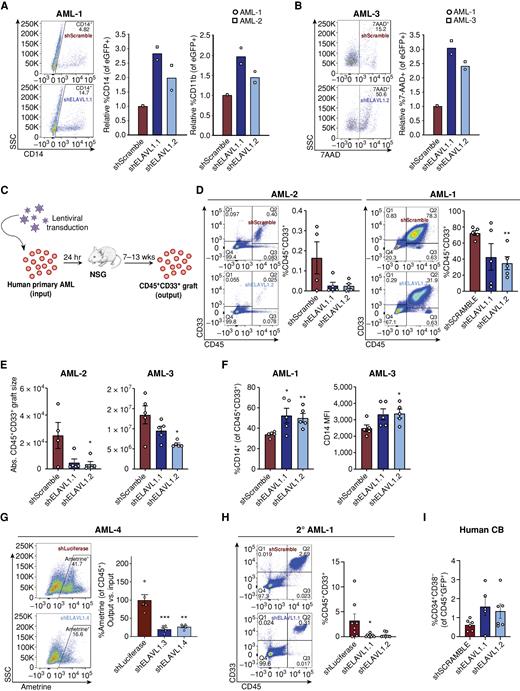 In Vivo Screening Unveils Pervasive RNA-Binding Protein Dependencies in ...