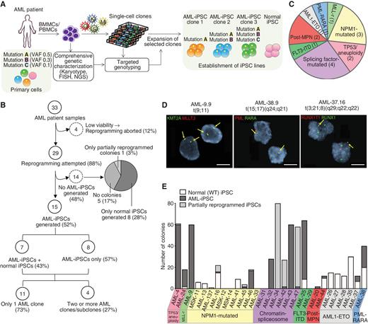 Patient-Derived iPSCs Faithfully Represent the Genetic Diversity and ...
